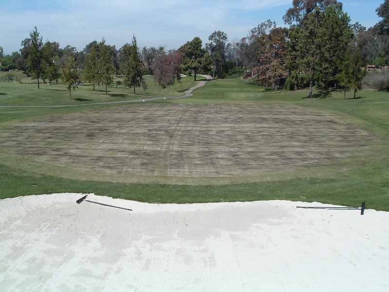 Golf Courses | | Organic Fertilizers and Organic Soil Amendments Blog